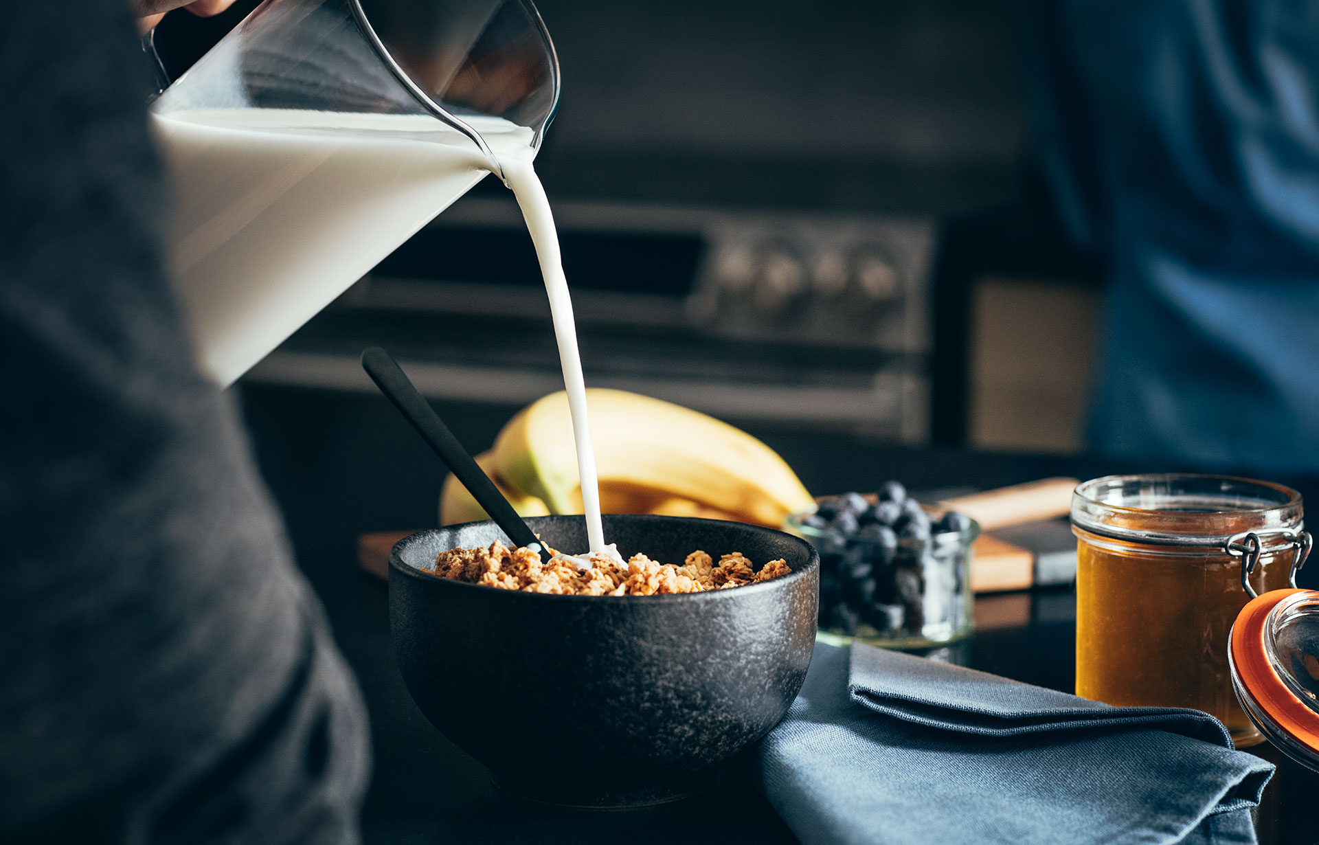 Laits Natrel Original | Natrel