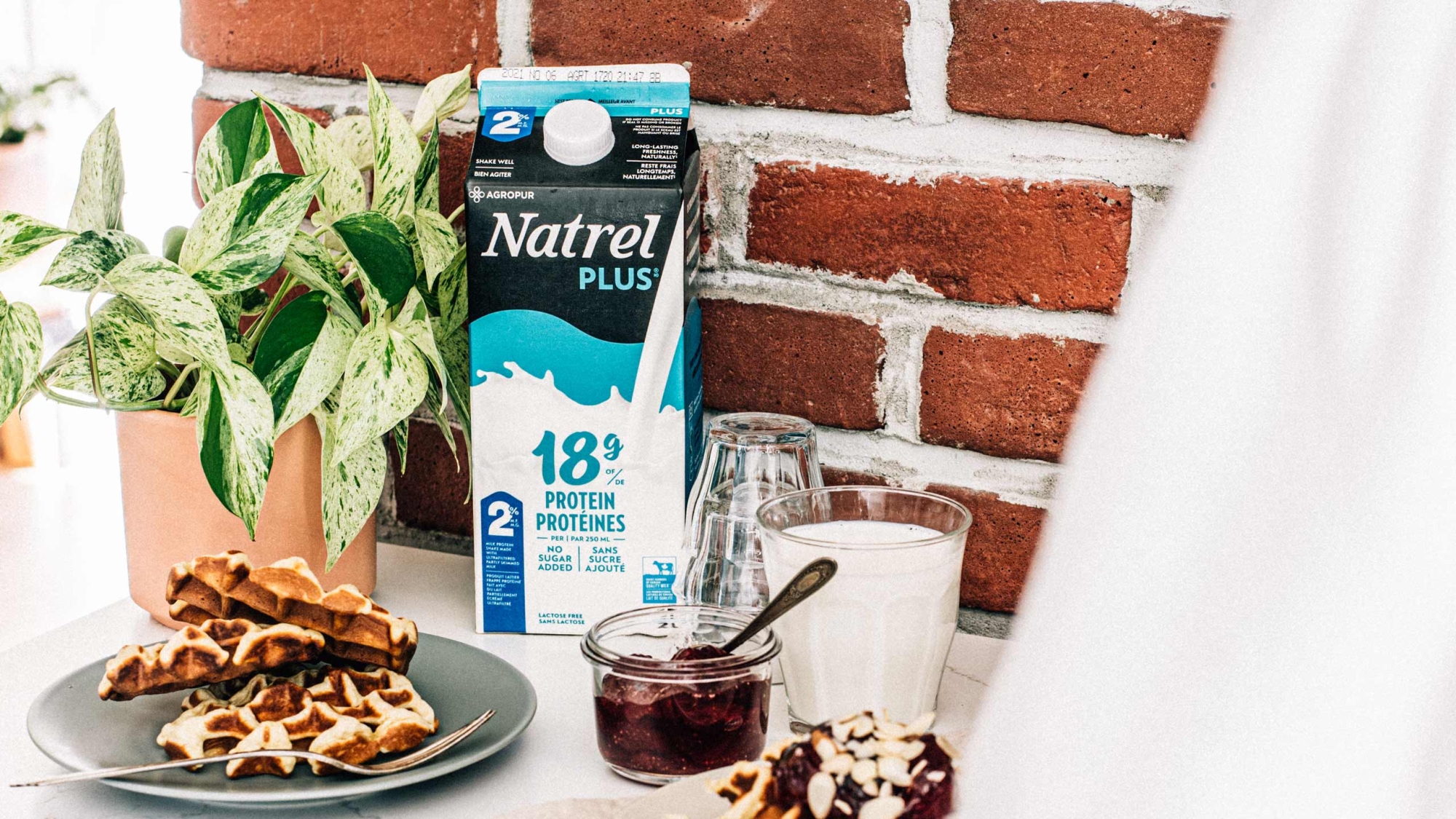 What is Natrel Plus? | 18g of Protein | Lactose Free | Natrel