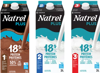 Natrel Plus – High in Protein Dairy Beverages | Natrel